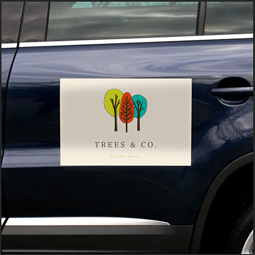Custom Vehicle Decals - Printed & Cut to Order - Buy Online